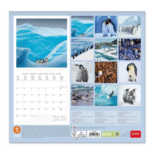 Calendario Legami 2023, Penguins - 30 x 29 cm Legami 2022 | Libraccio.it