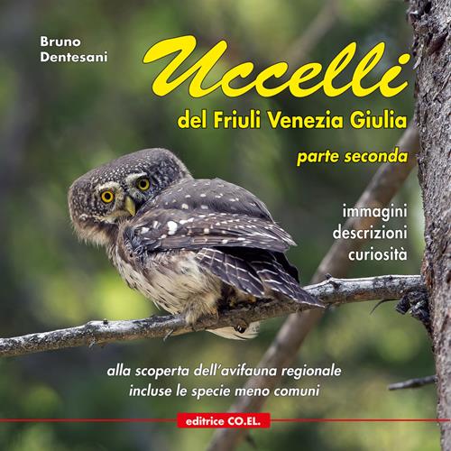 Uccelli del Friuli Venezia Giulia. Immagini, descrizioni, curiosità ...