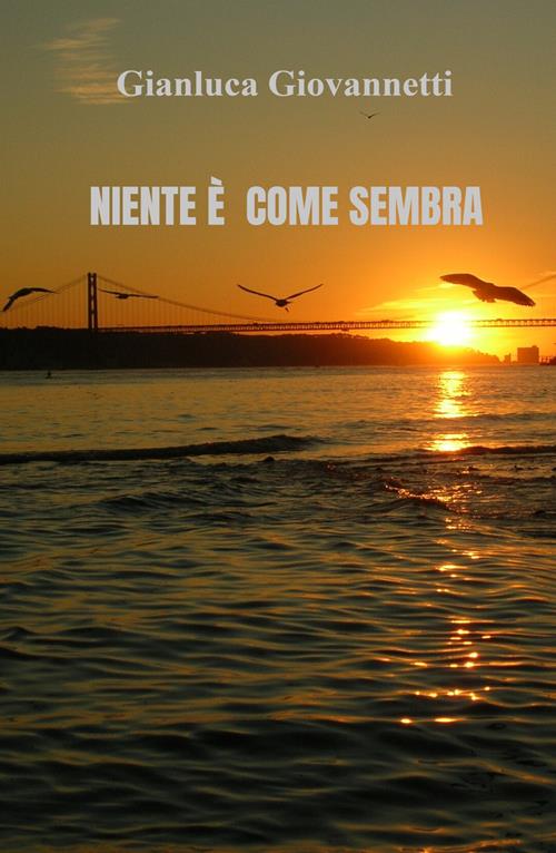 Niente è Come Sembra Gianluca Giovannetti Libro Ilmiolibro Self